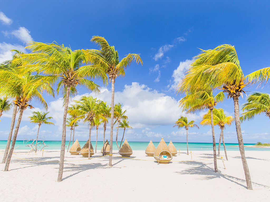 Daleka putovanja sa Kontikijem – Otkrijte svet na dlanu